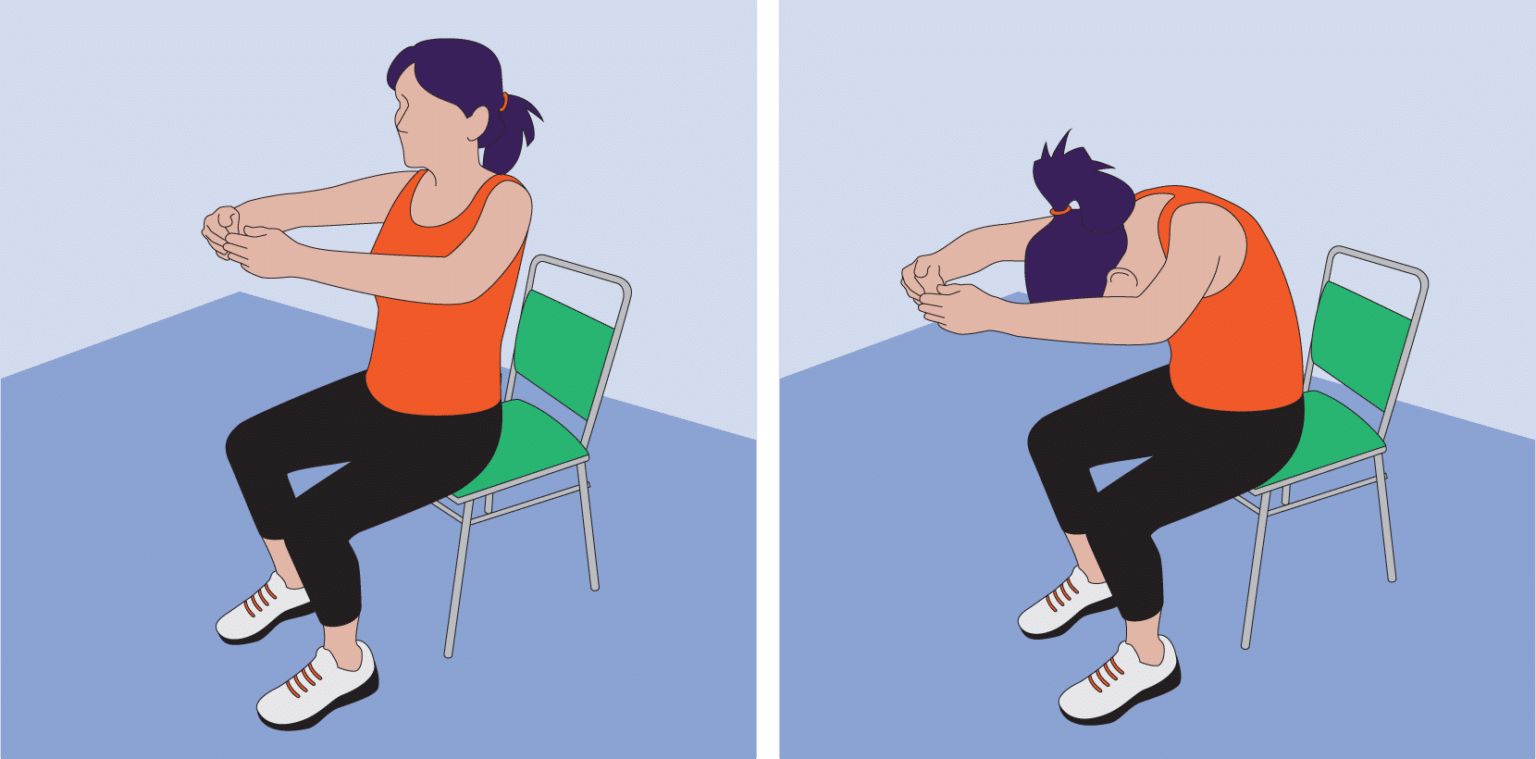 8 Core Exercises For Seniors (Pictures Included) | Lifeline Canada